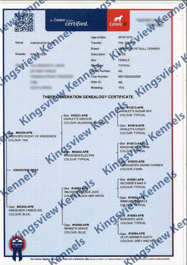 Breeding & Bloodlines - Kingsview Kennels